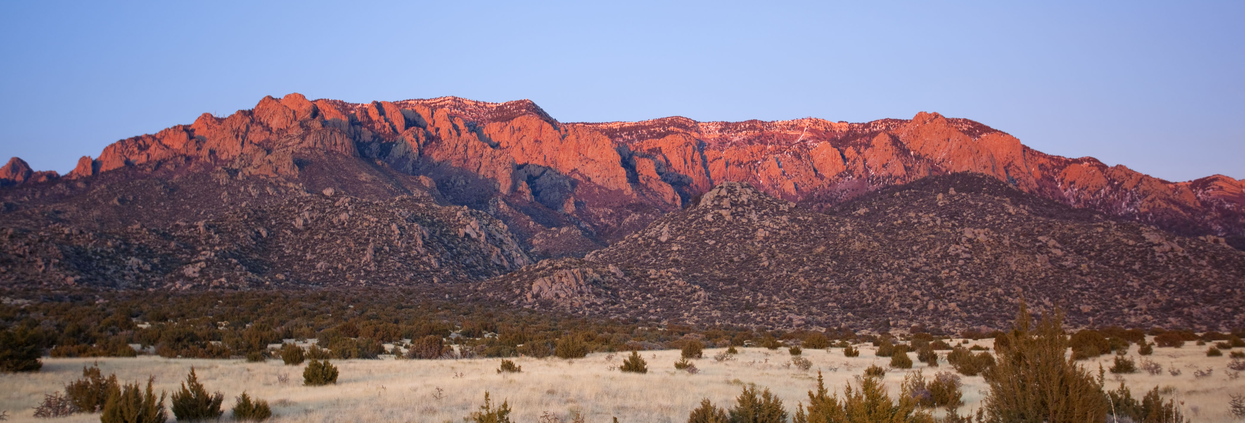 Global Security Analysis and Simulation